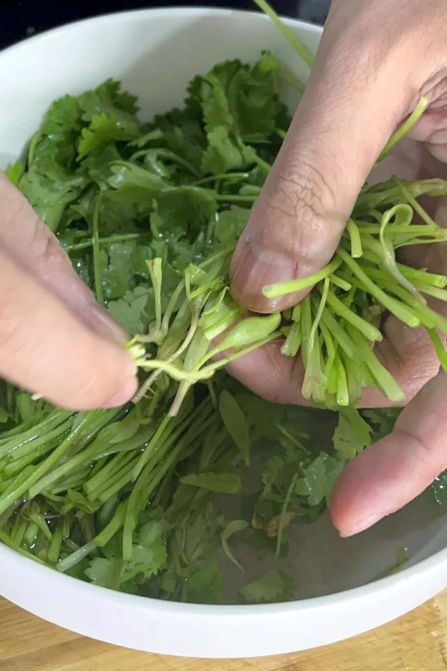 How To Cut Cilantro: A Complete Prepping Guide, From Farms to Table