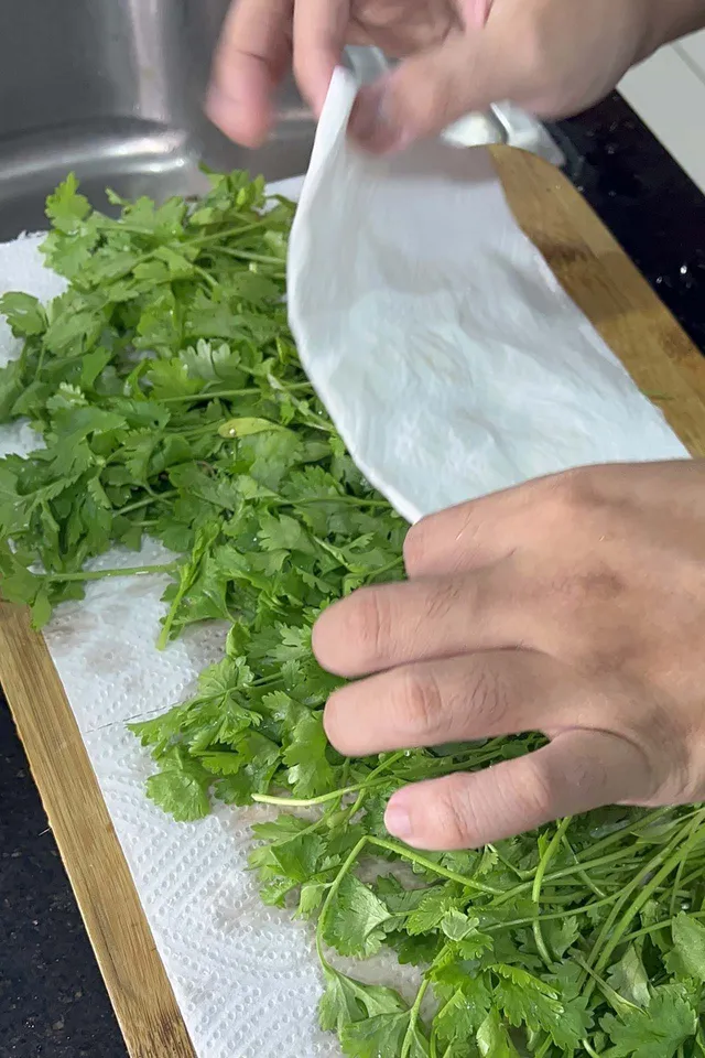 How To Cut Cilantro: A Complete Prepping Guide, From Farms to Table