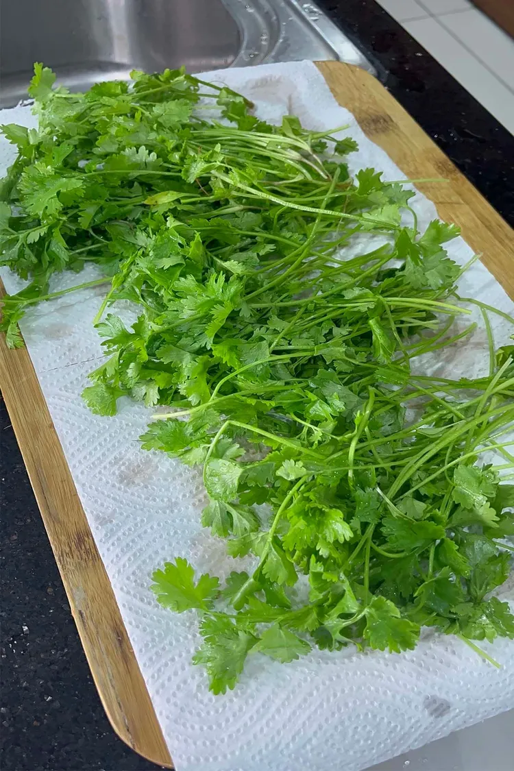 How to Store Cilantro to Keep It Fresh for Weeks