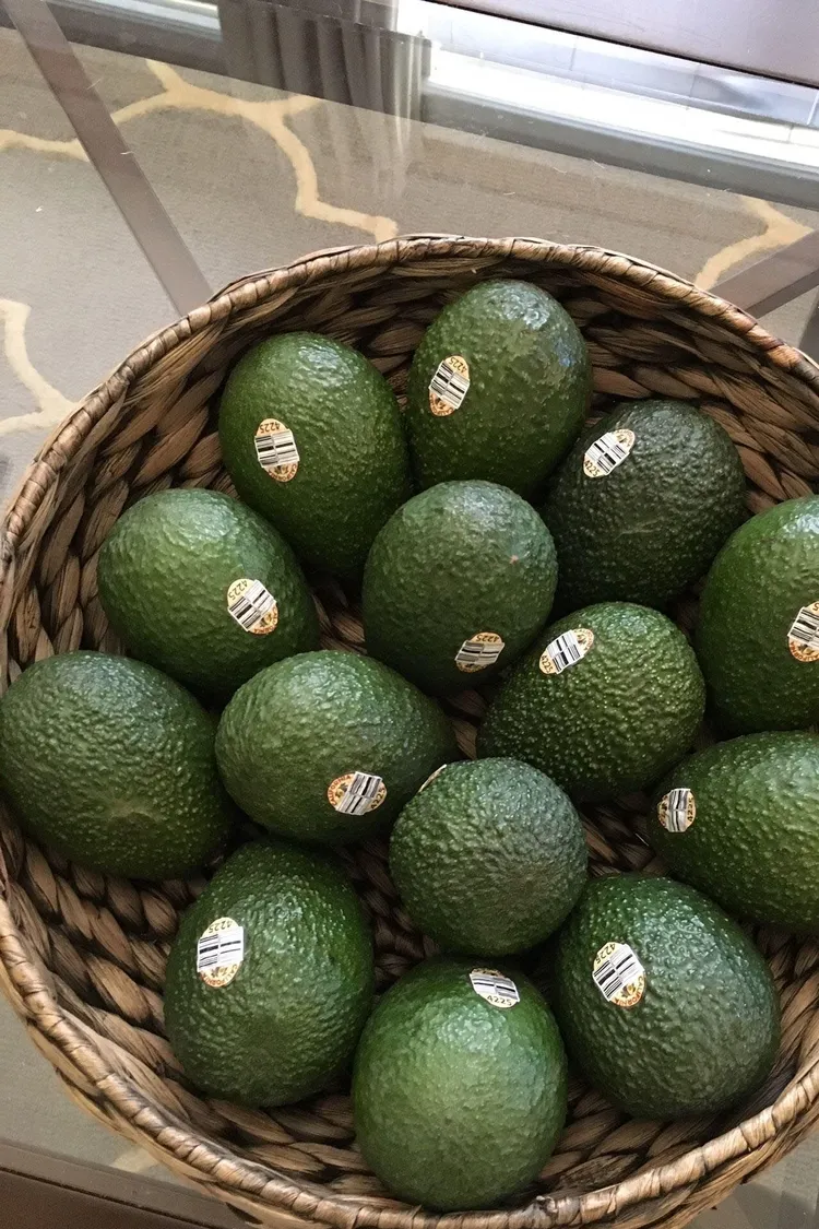 How to Store Avocados: All the Methods to Safely Store Avocados