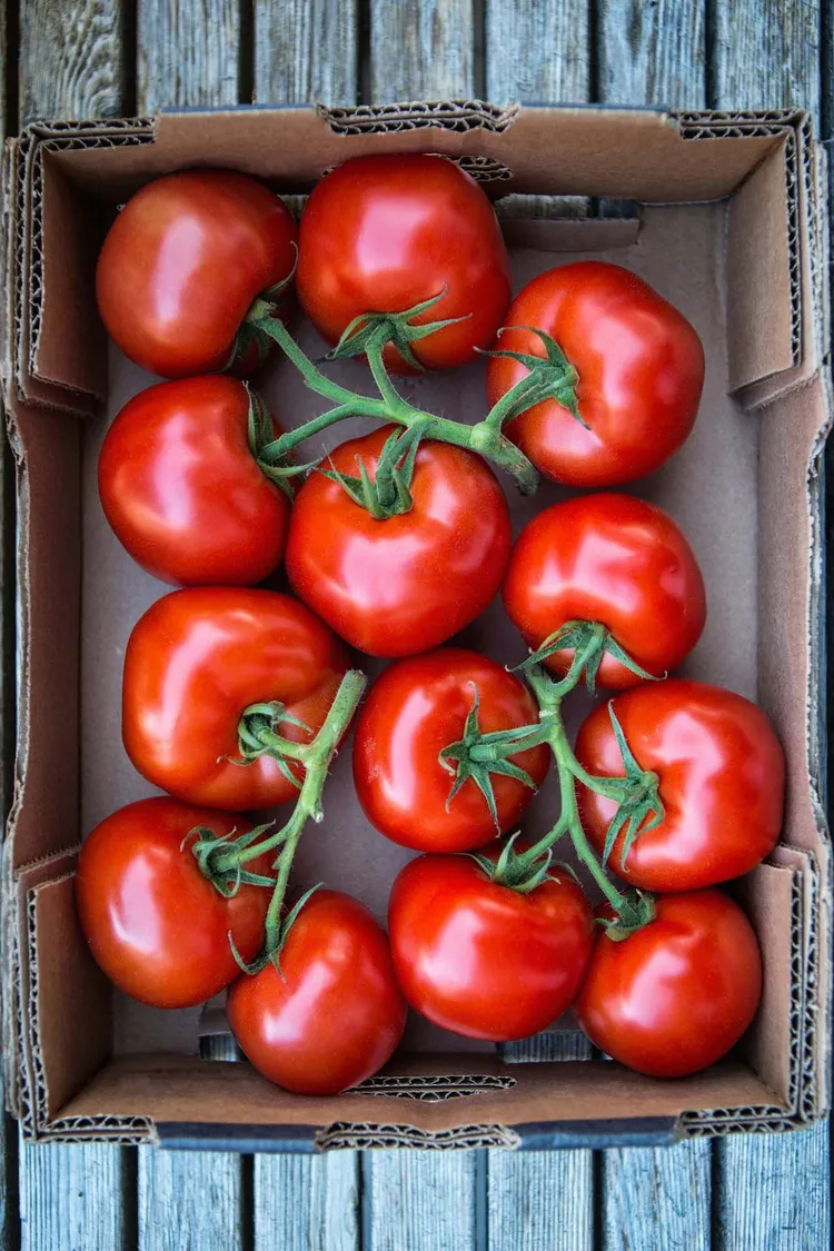 How to Store Tomatoes: Best Storage Methods for Maximum Freshness and ...