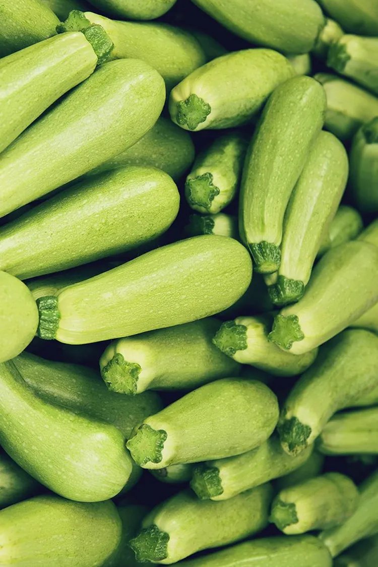 How to Store Zucchini: The Best Ways to Keep It Fresh & Long-Lasting